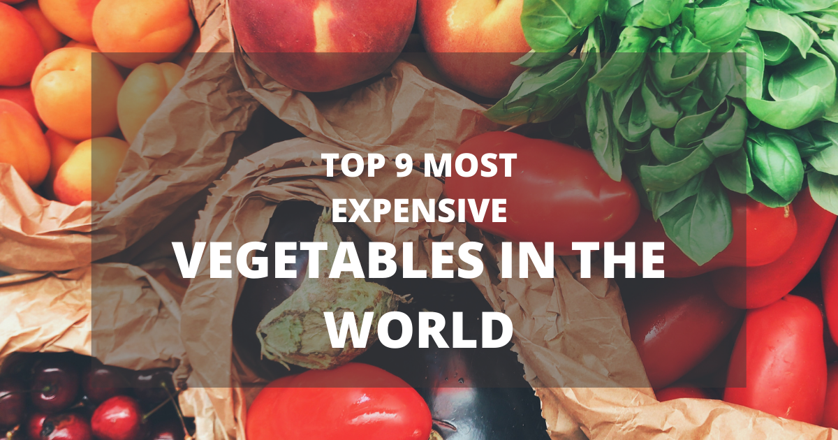 Top 9 most expensive vegetables in the world - Masalabox Food Network